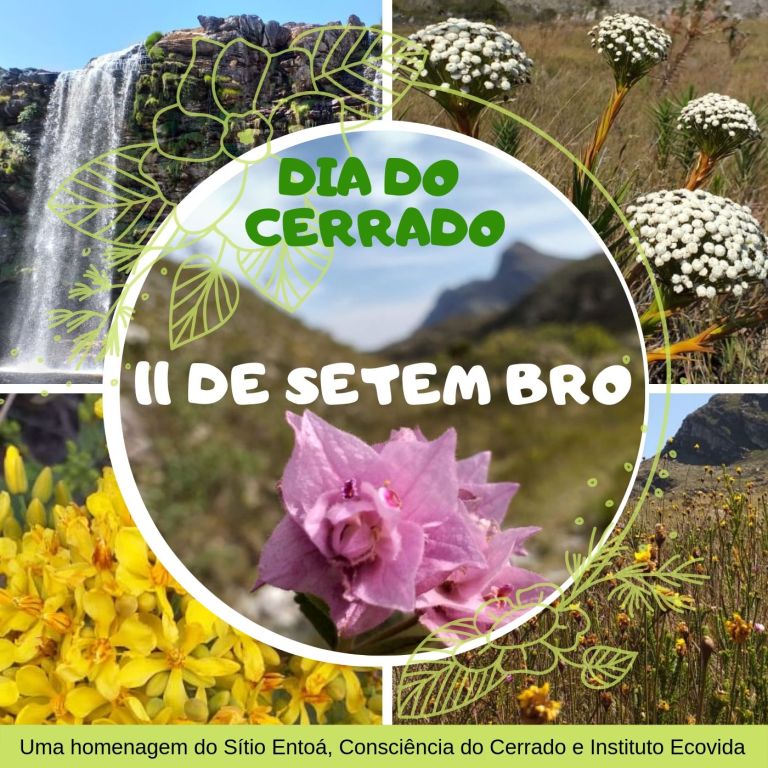 Dia do Cerrado | Sítio Entoá